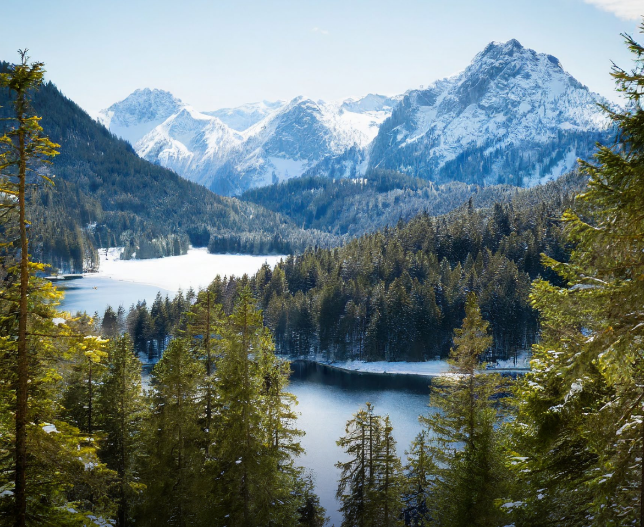 CCS 101 – Carbon Contracts for Differences (CCfDs) in Europe | Global CCS Institute